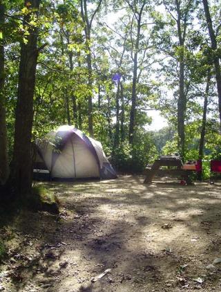 Sweetwater Forest Campground Photos